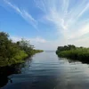 Cane Bayou — Canoe & Trail Adventures