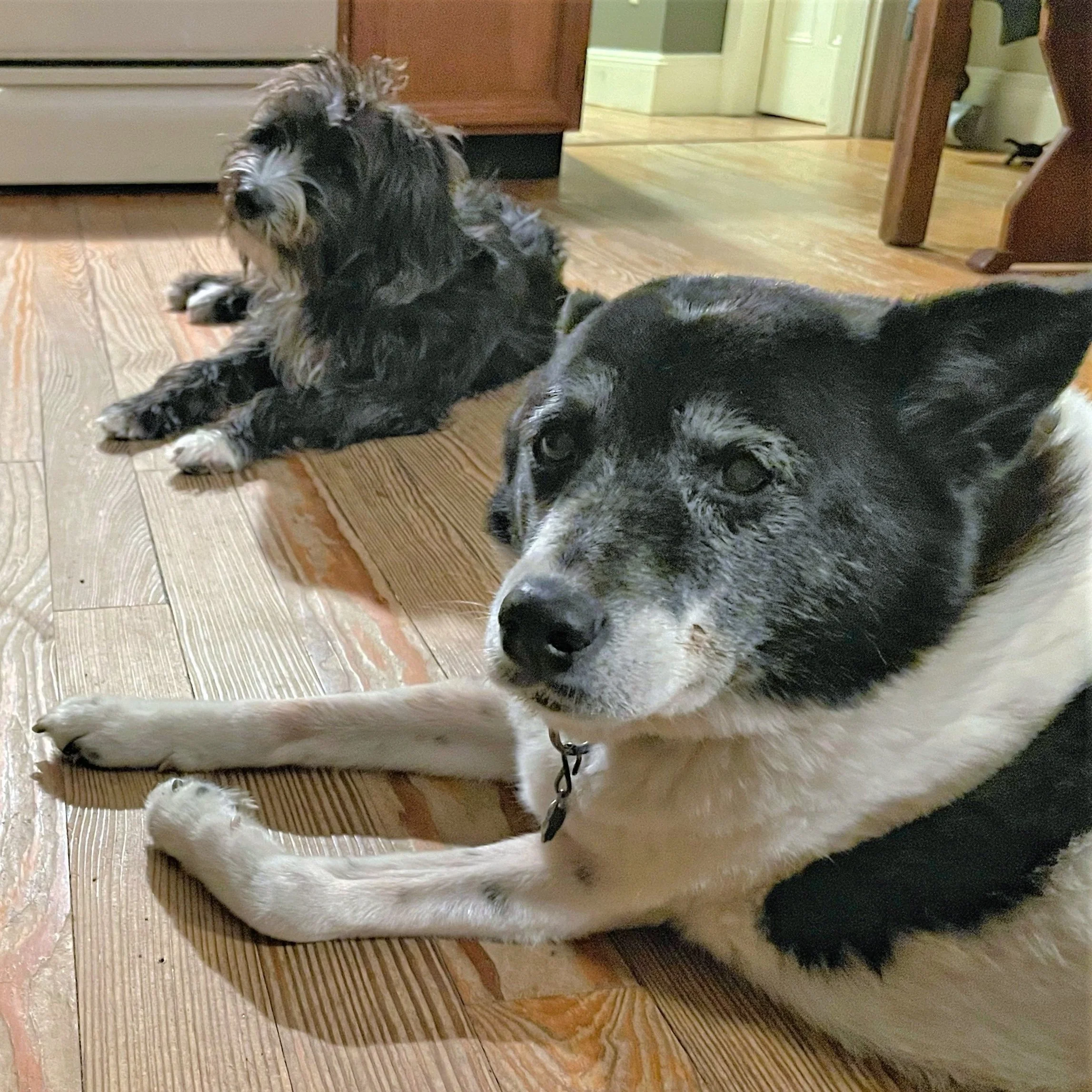 In Winter, We Work: Talking Drystone Walls, Permeable Pavers, and ...