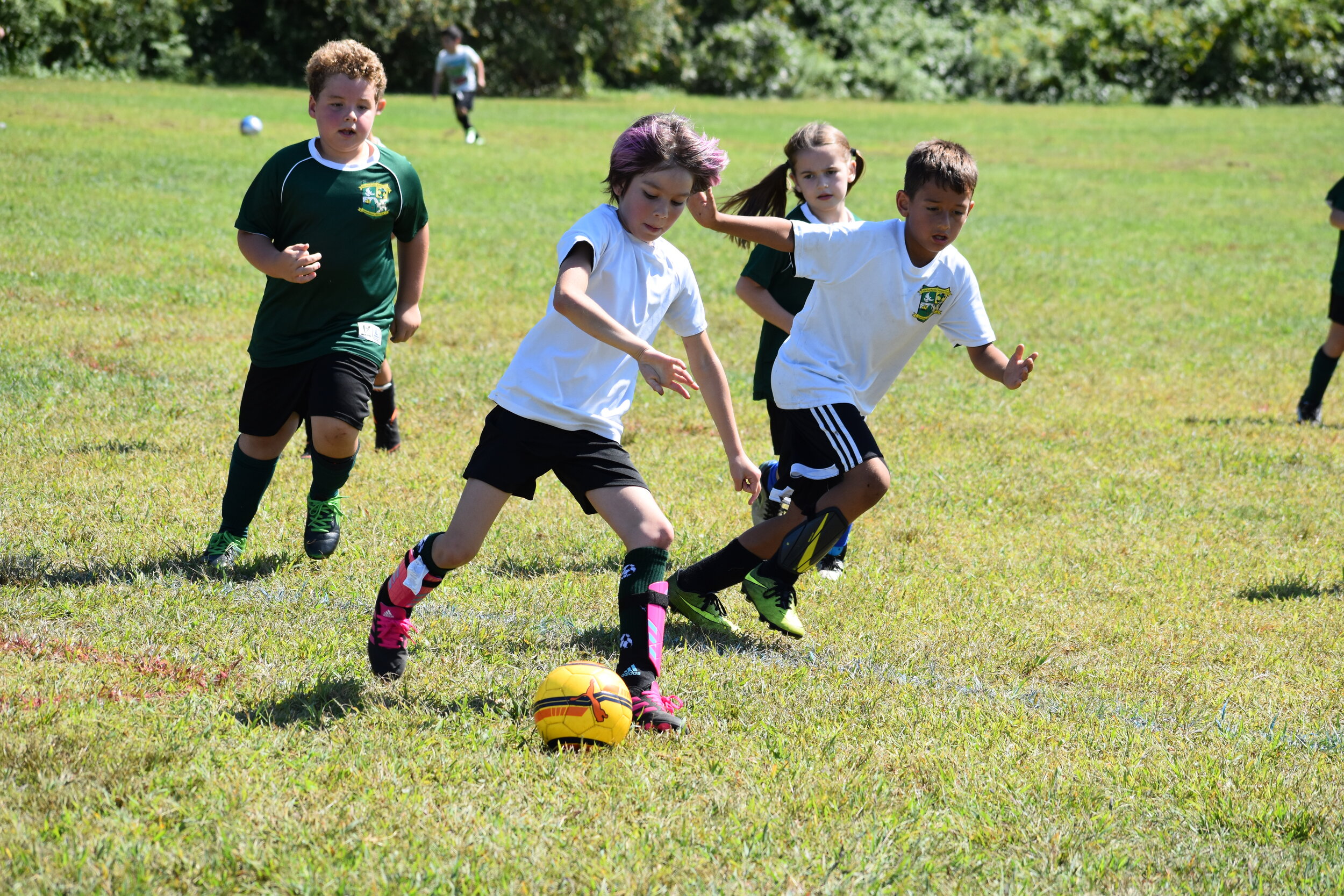 Spring Festival 2019 — HARB SOCCER CLUB