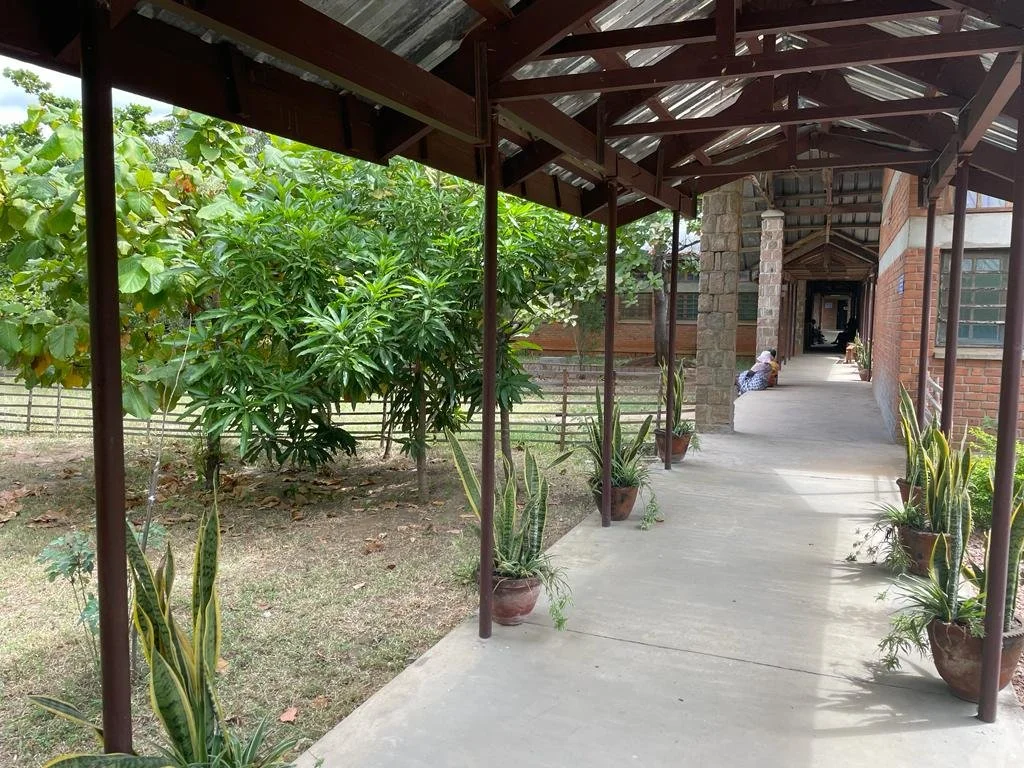 Madagascar Chapter 5: The same but different! — Friends of Mandritsara ...