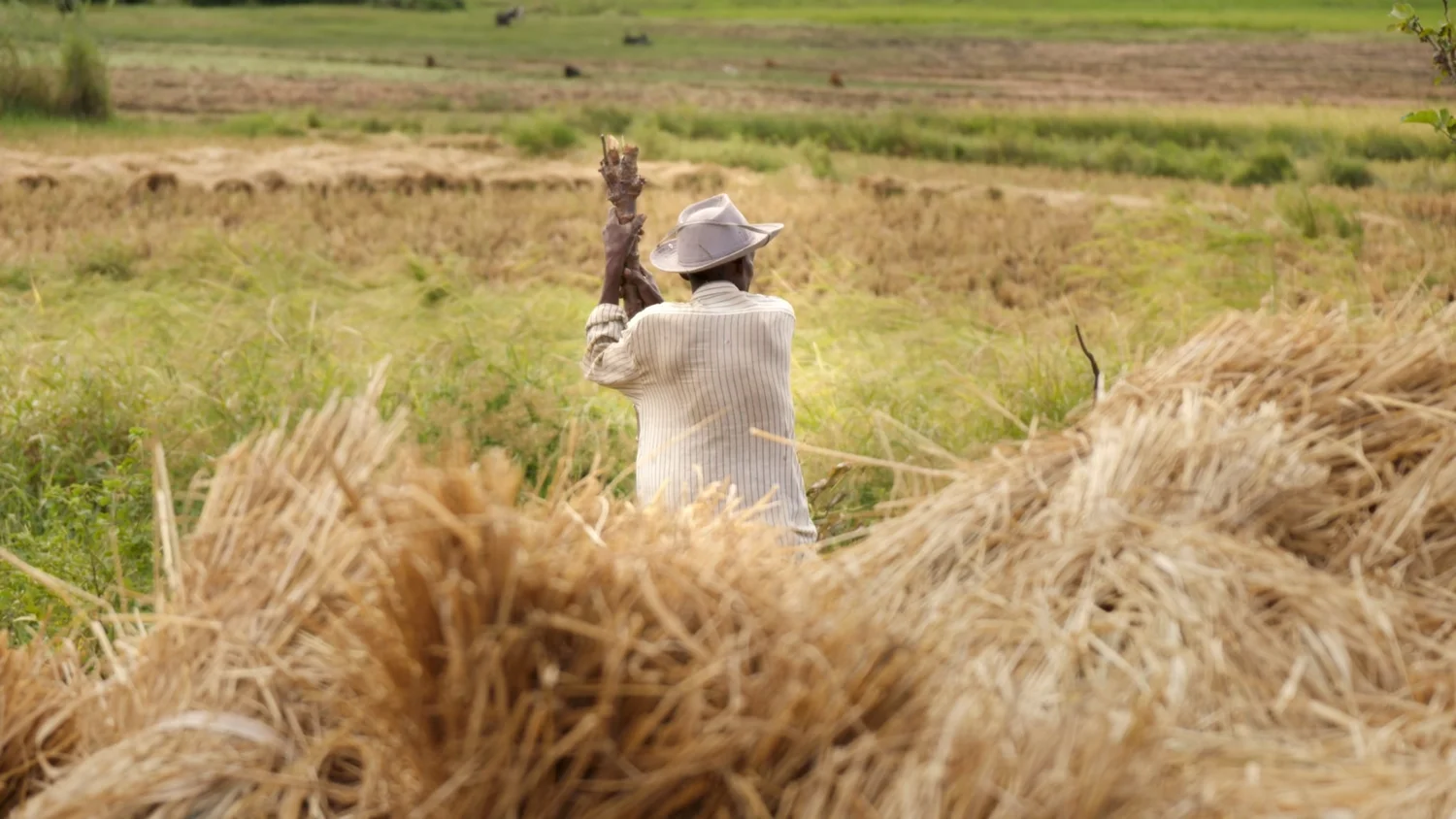 Why Mandritsara — Friends of Mandritsara Trust UK
