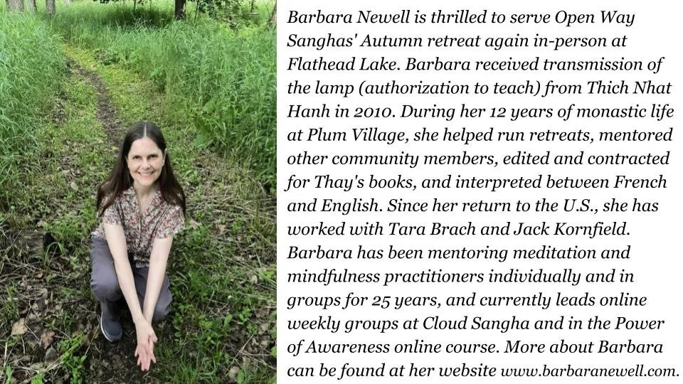 Retreats — Open Way Sanghas