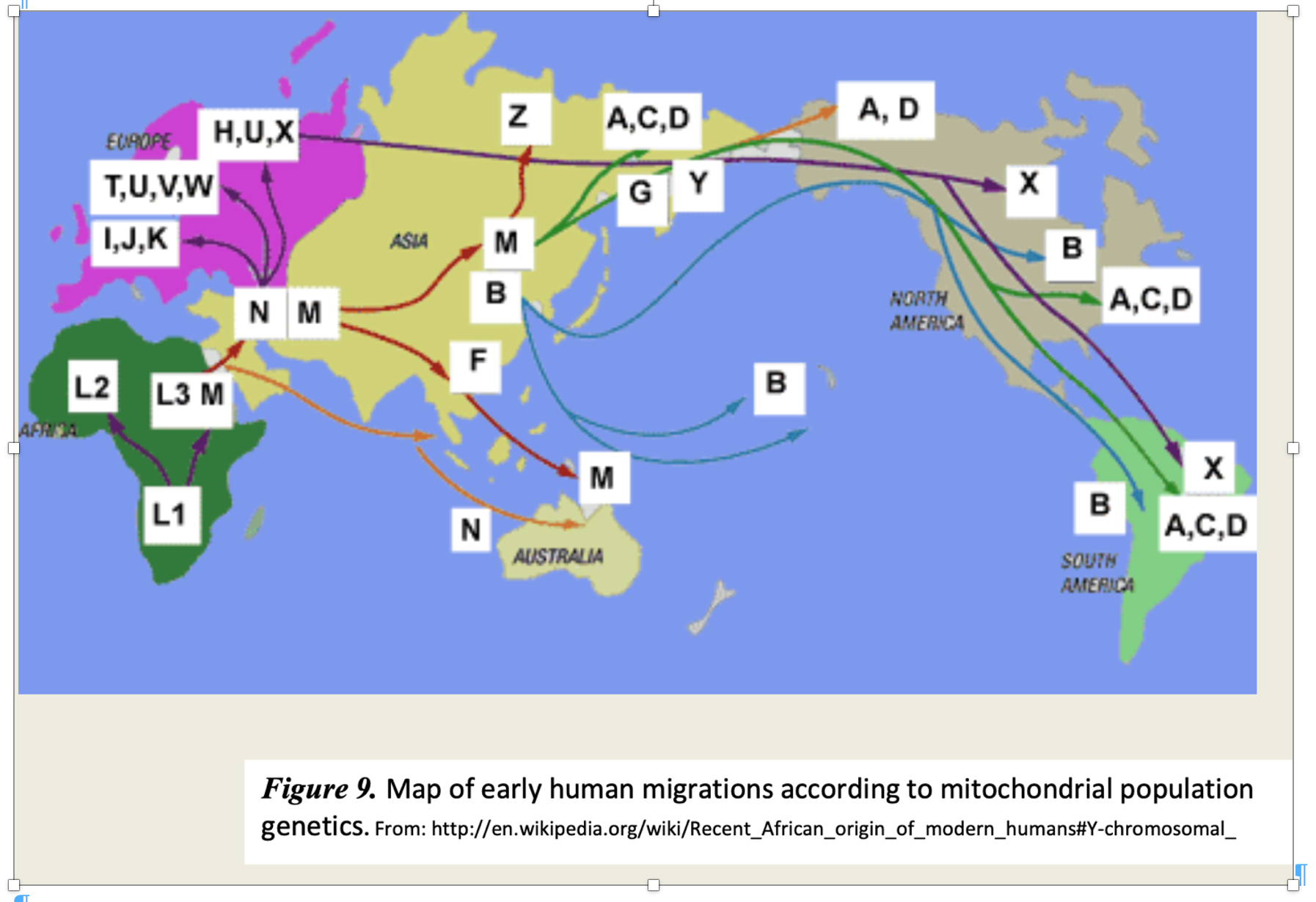 One Human Race: Scientific and Scriptural Views on the Single Origin of ...