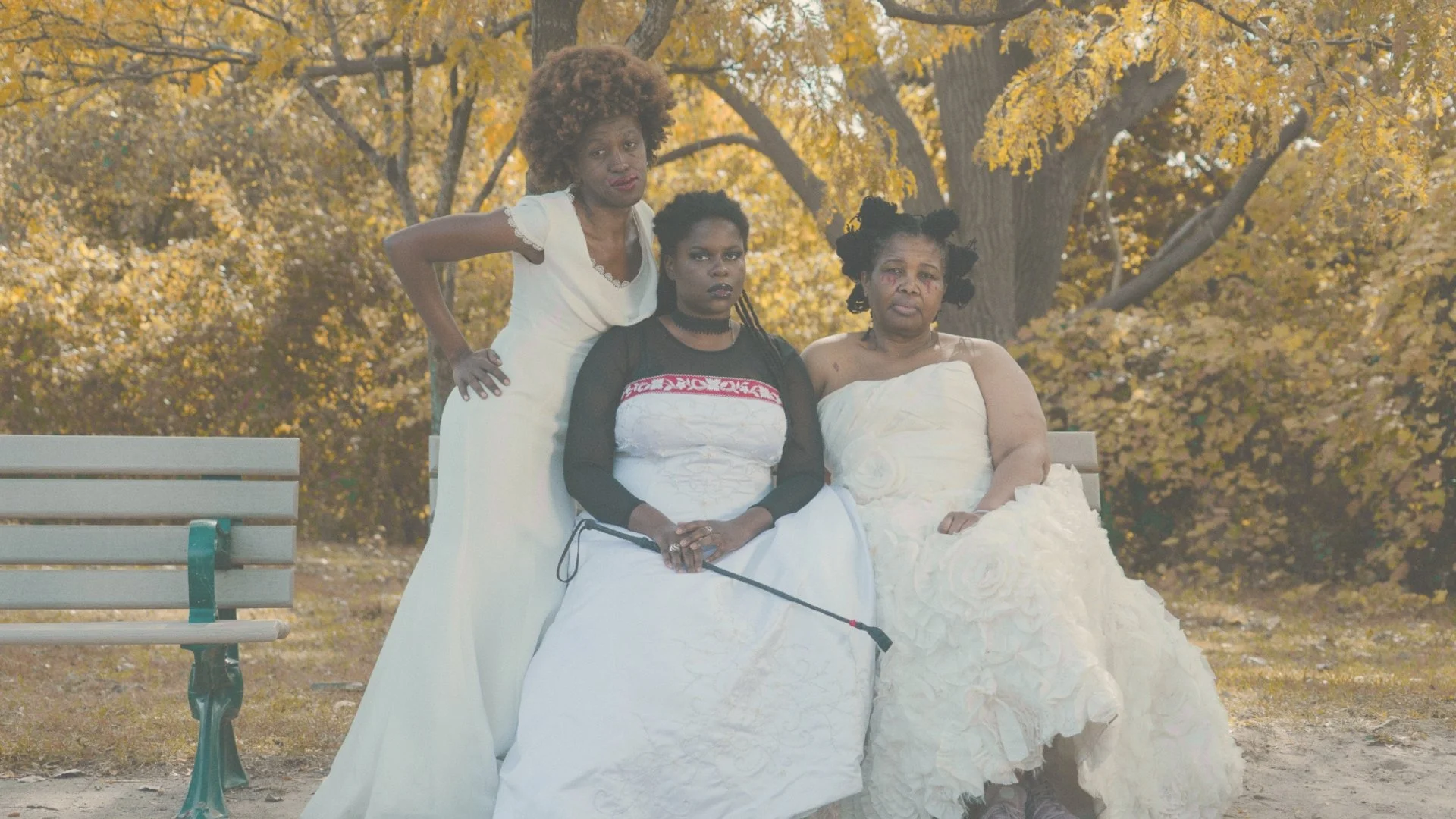 Free Yr Dick — Full Spectrum Features