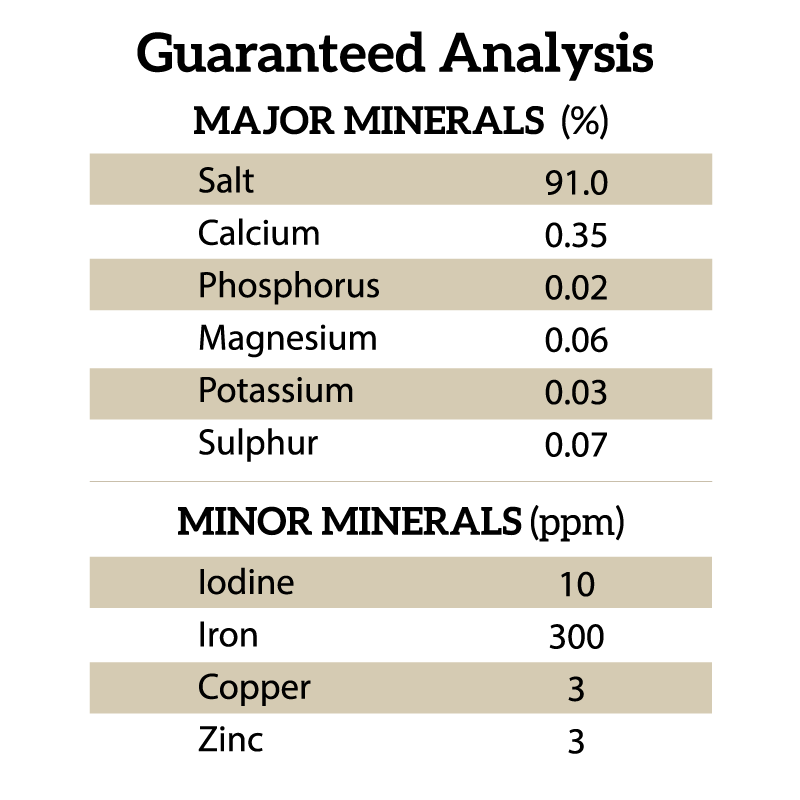Redmond Rock Crushed Salt- 25lb — Performance Equine Bodywork