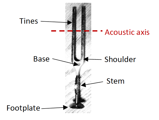 Rinne and Weber Tuning Fork Test — gpraj