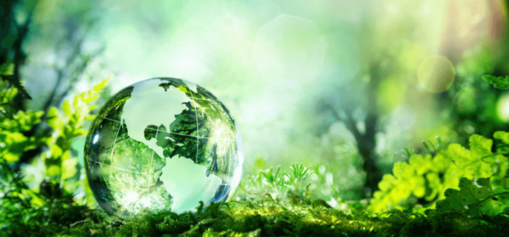 Ace Environmental