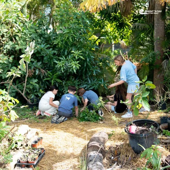 Understanding Steiner and Waldorf Education: A Complete Guide for Palm ...