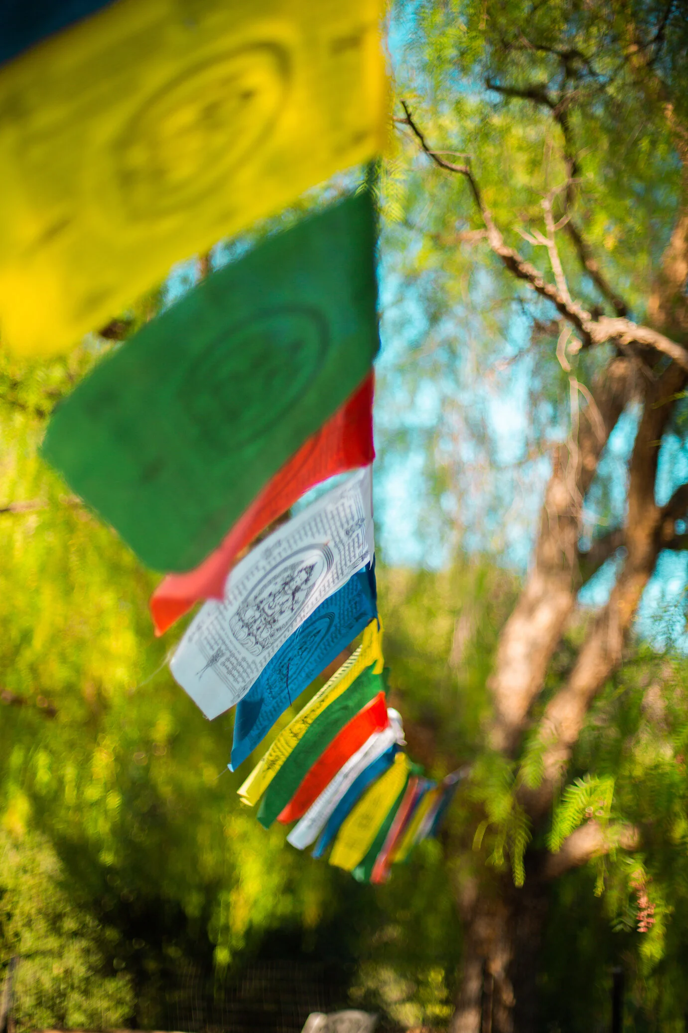 Sowa Rigpa Institute