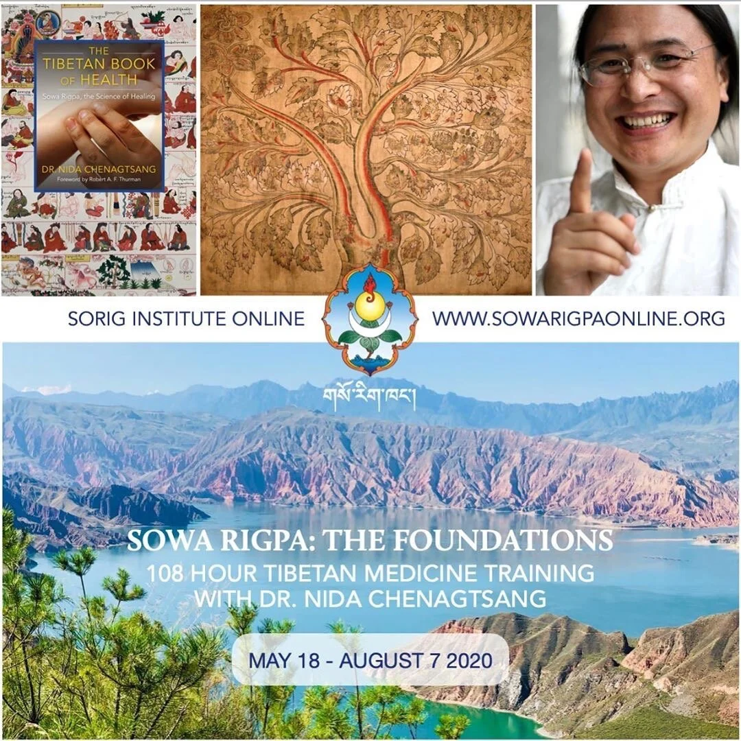 Sowa Rigpa Institute