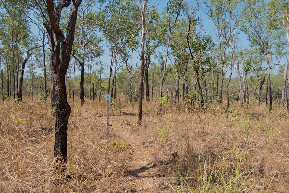 Table Top Track - Litchfield National Park — Louise Denton Photography