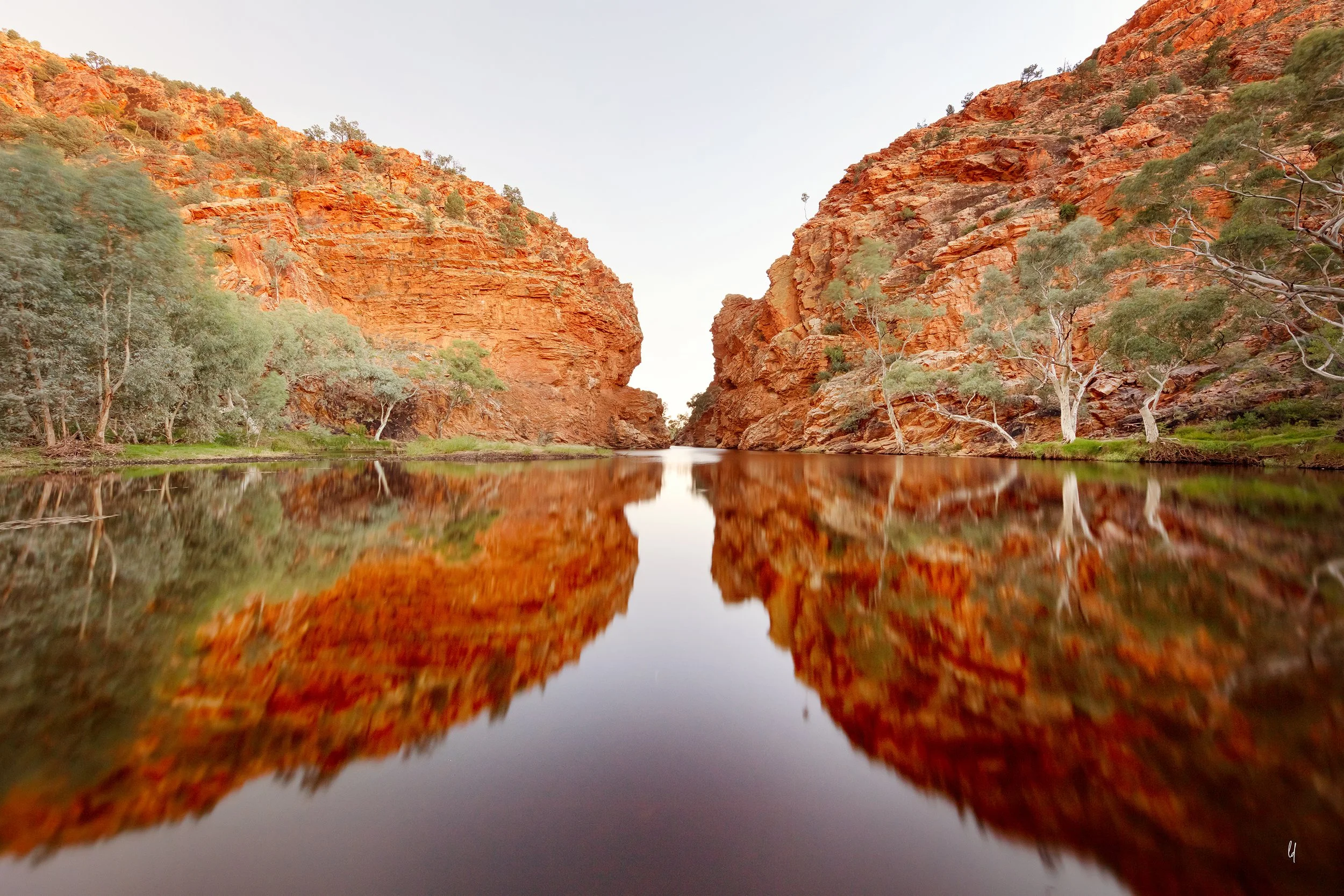 Currently in stock and ready to ship! — Louise Denton Photography