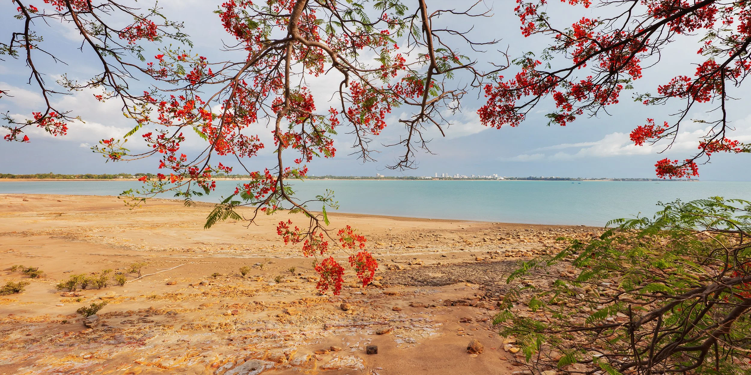 Darwin — Louise Denton Photography
