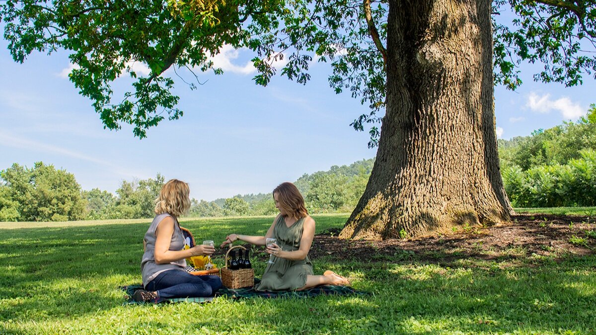Grovedale Family Winery - Pennsylvania Wines