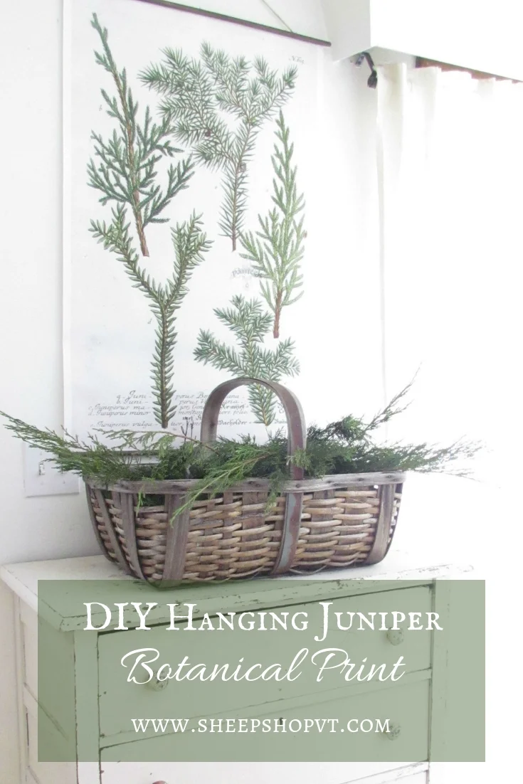 DIY Hanging Juniper Botanical Print — SHEEP SHOP