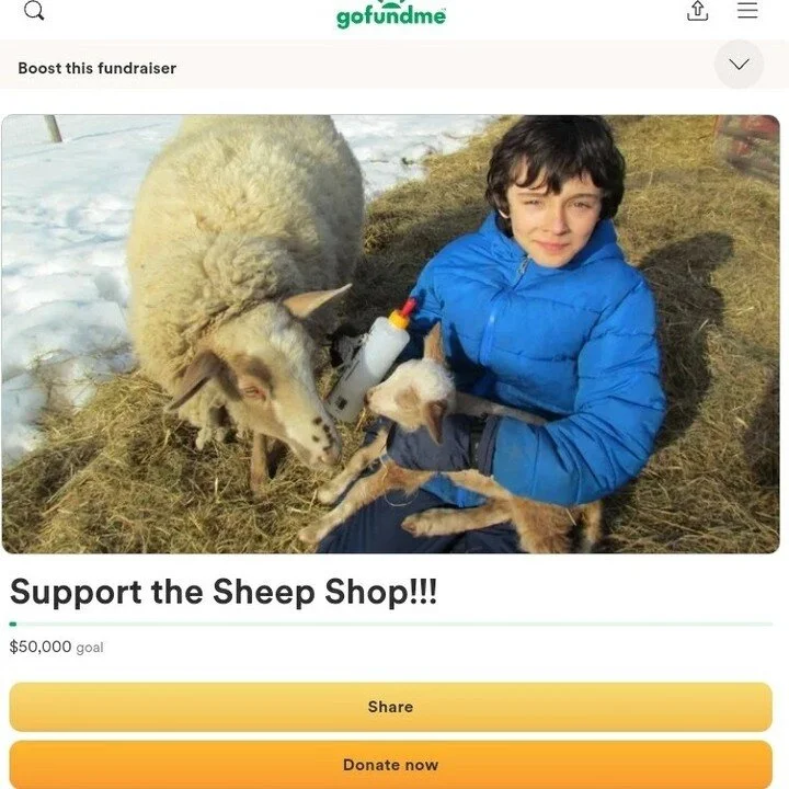 SHEEP SHOP