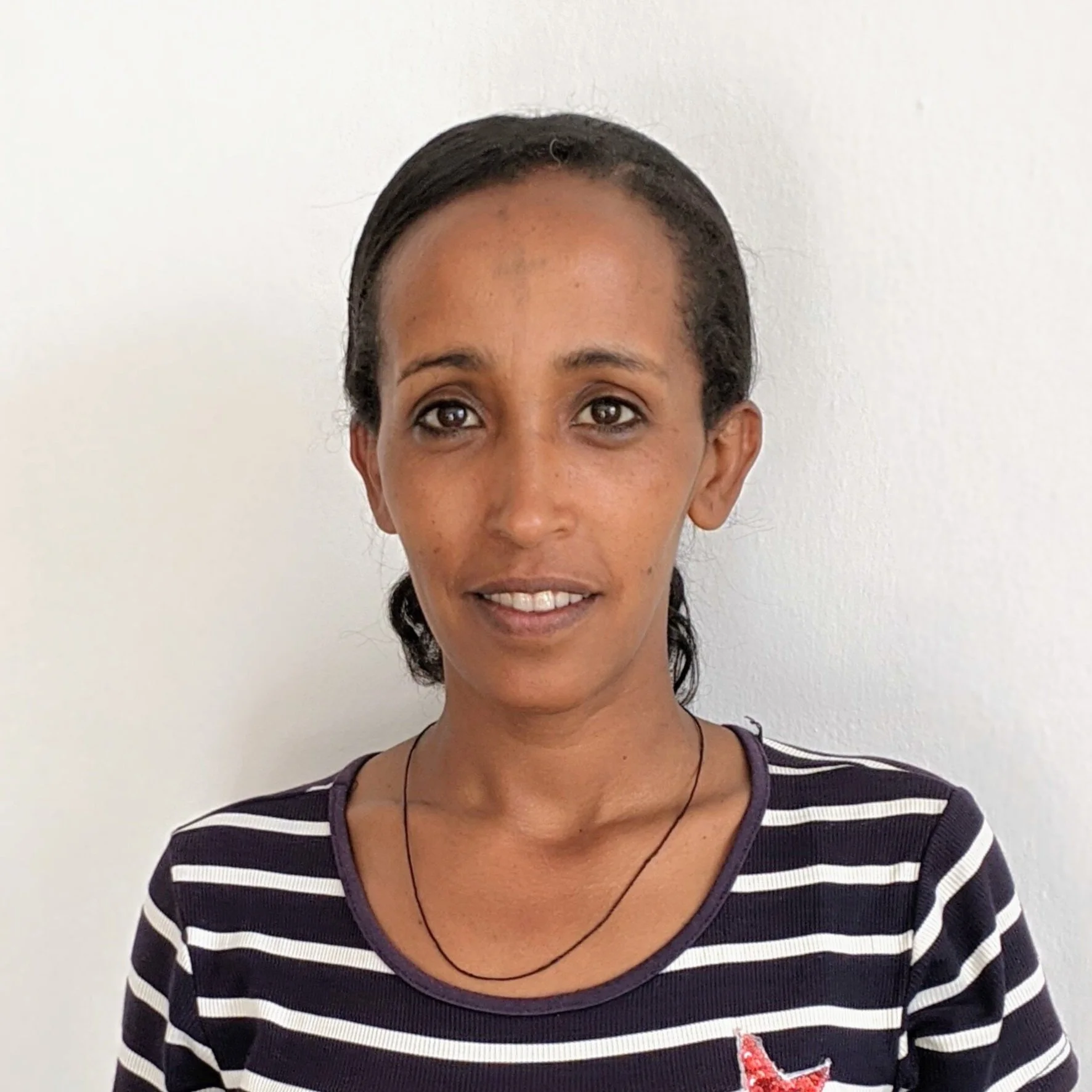 Our Team — Forested