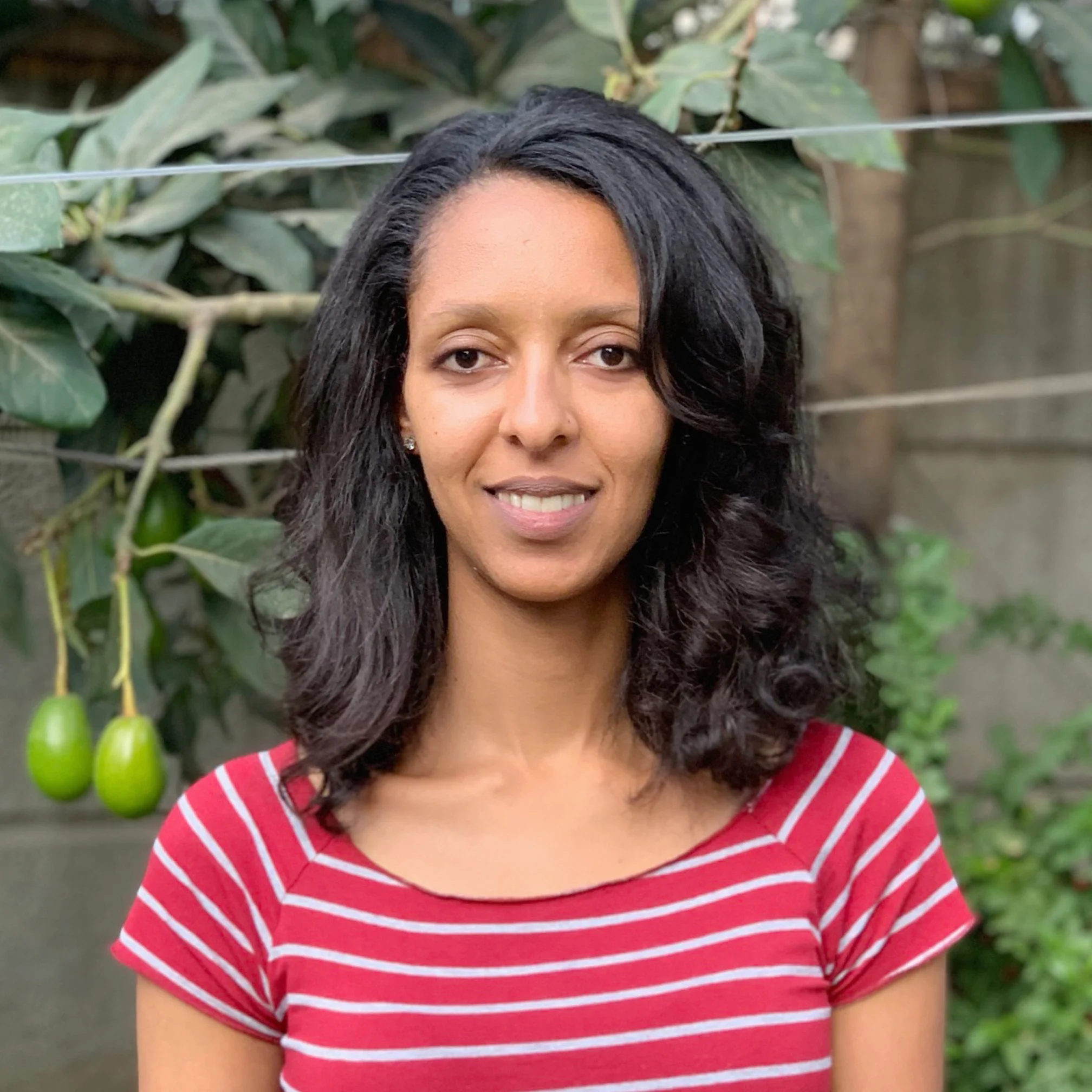 Our Team — Forested