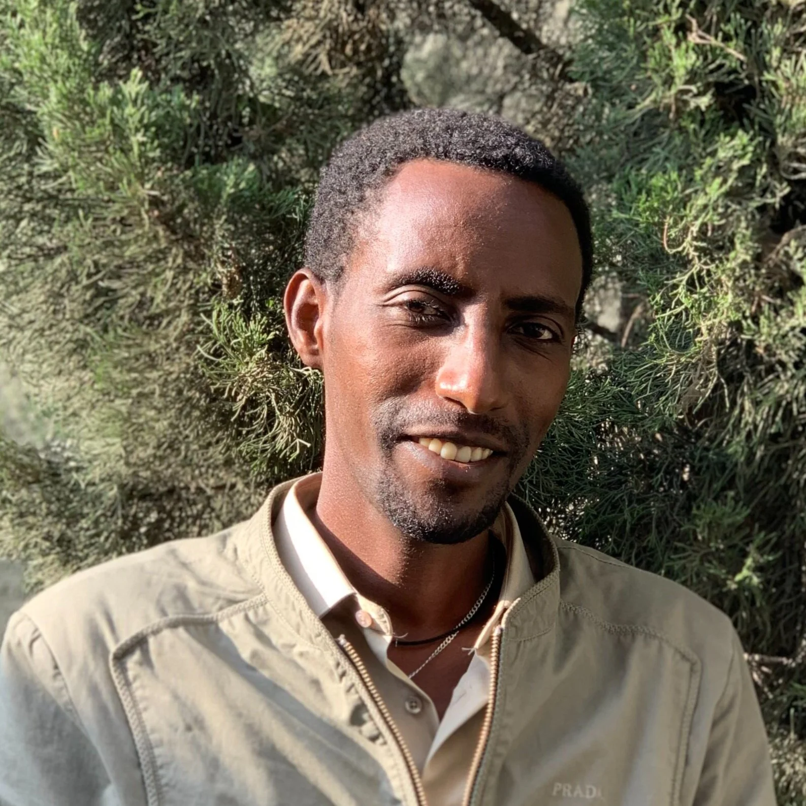 Our Team — Forested