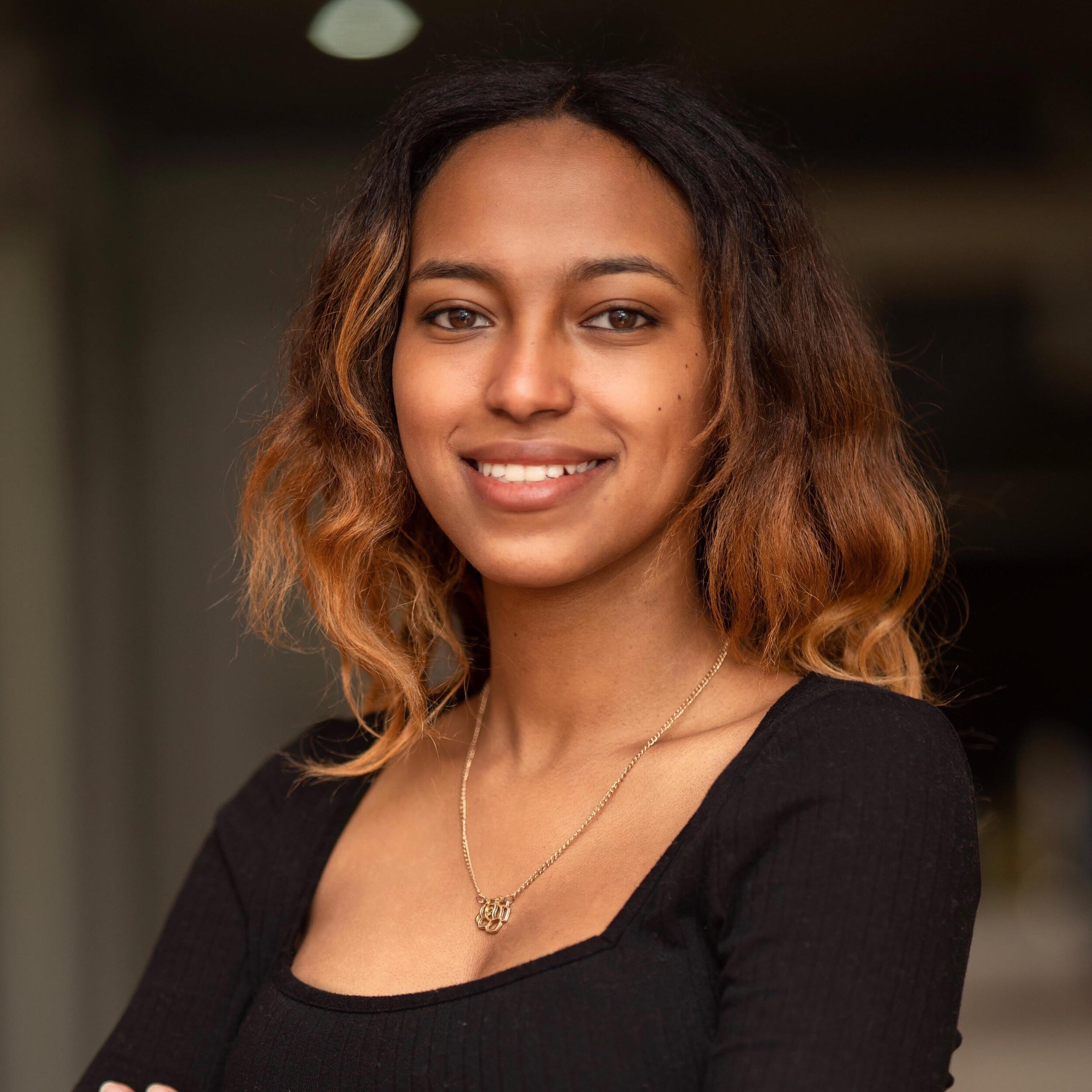 Our Team — Forested