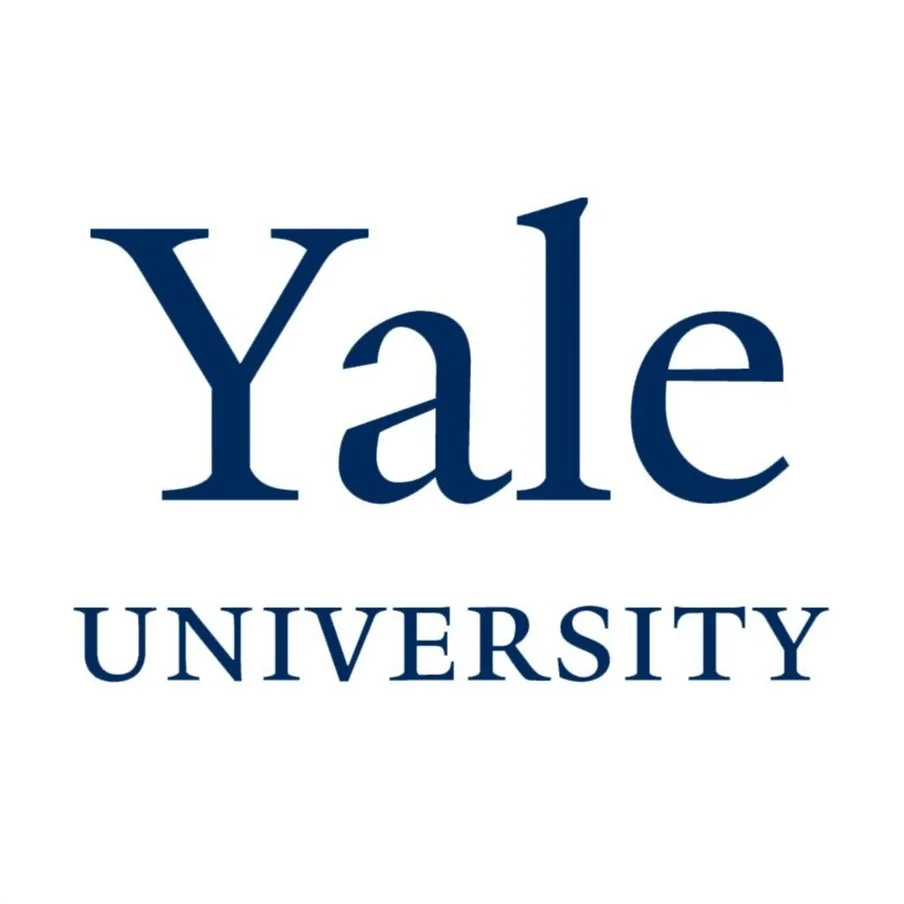 Our Team — Forested