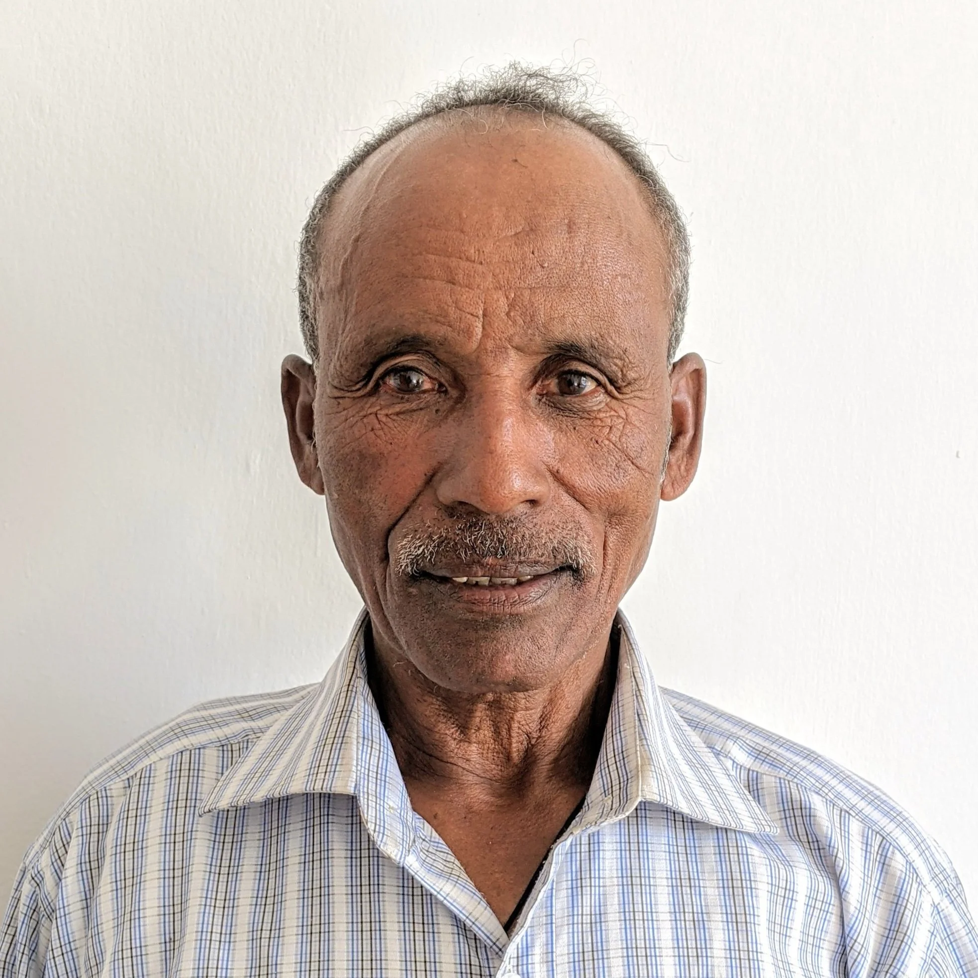 Our Team — Forested