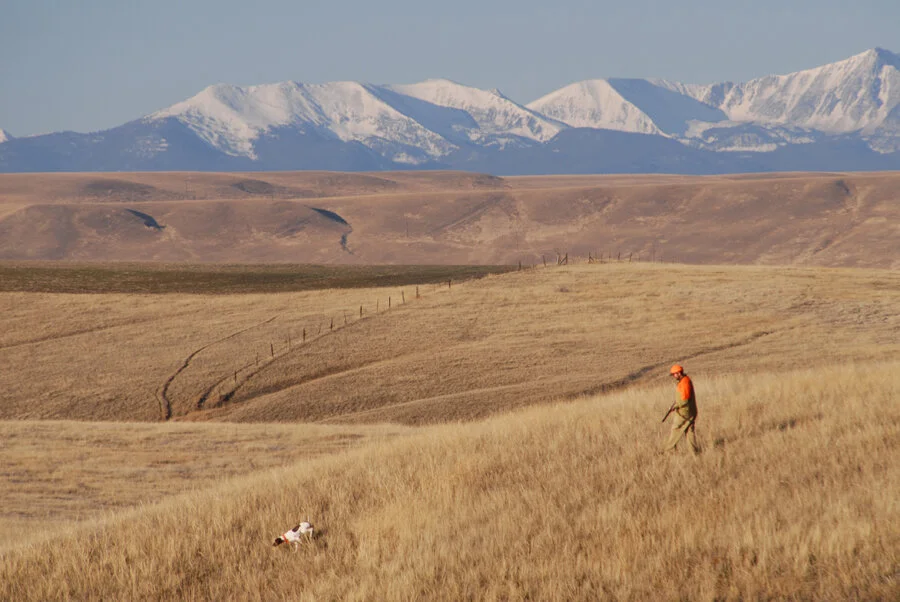 River Riparian Corridor Lesson — Teller Wildlife Refuge