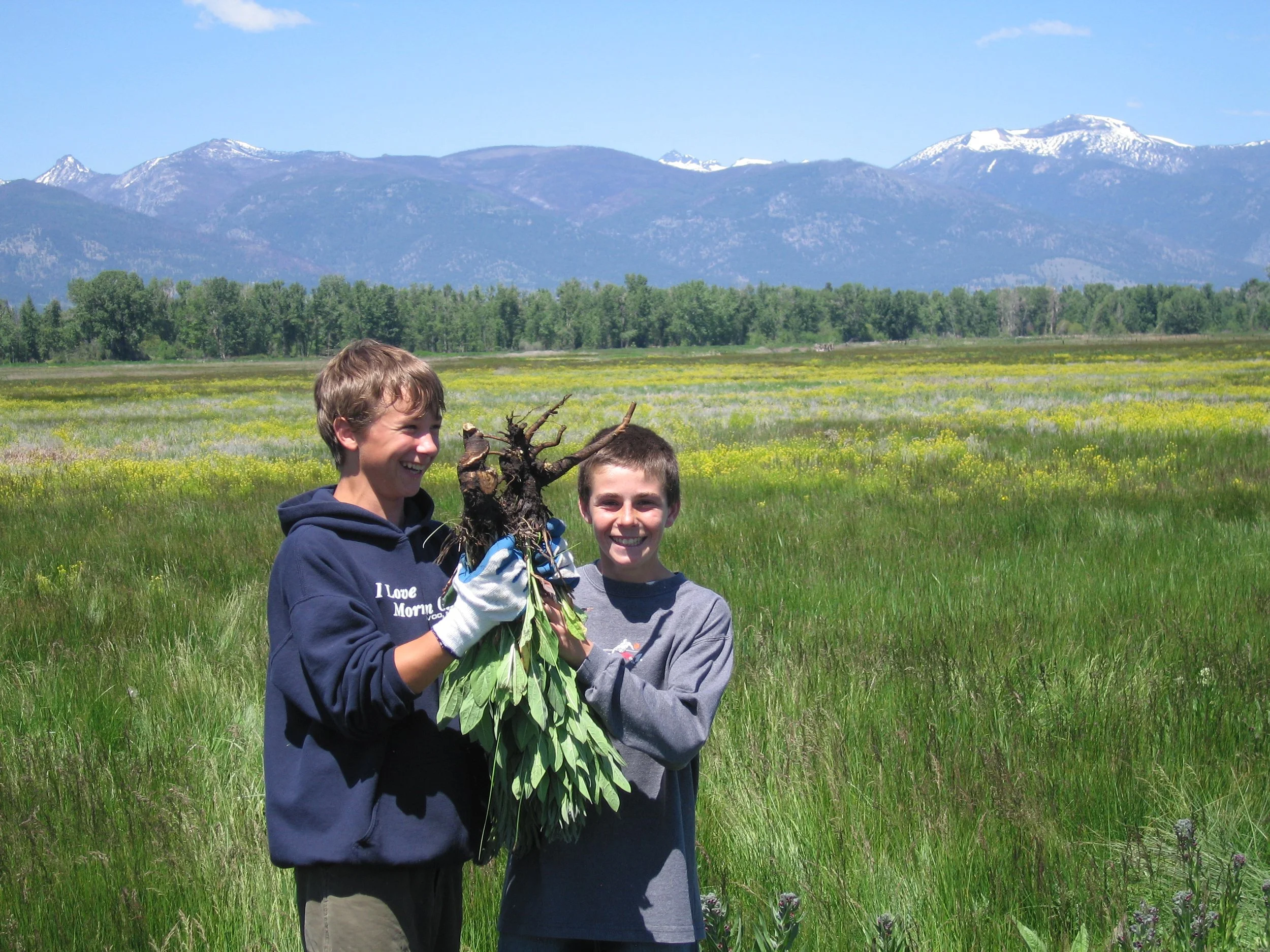Lesson Plans — Teller Wildlife Refuge