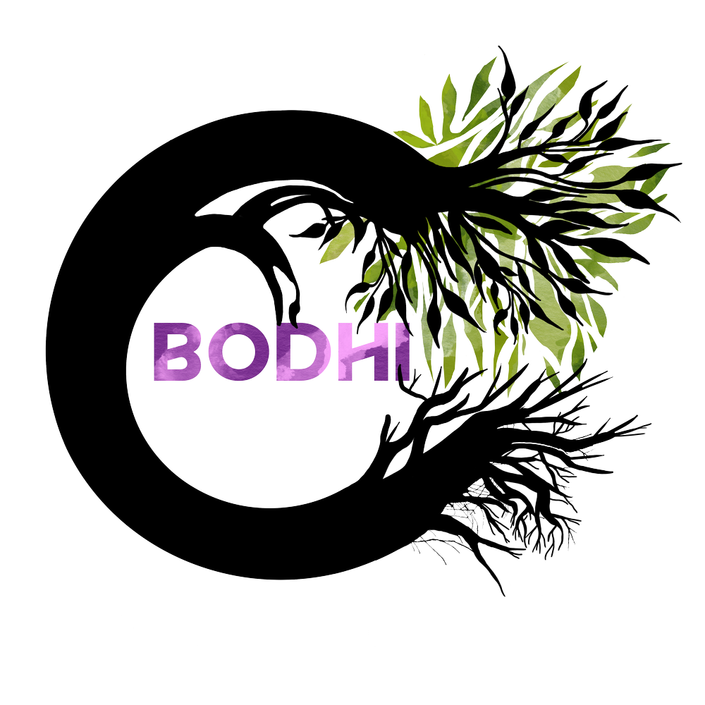 The Embodying Belonging and Coliberation Frame — Our Bodhi Project