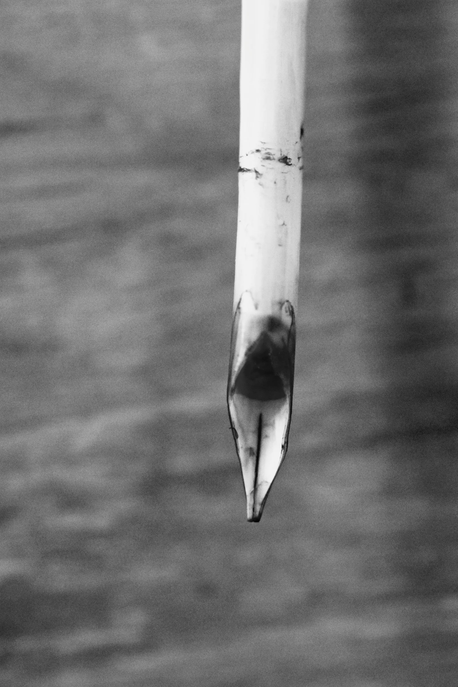 How to Make a DIY Feather Quill Pen — Andrew "Oyl" Miller