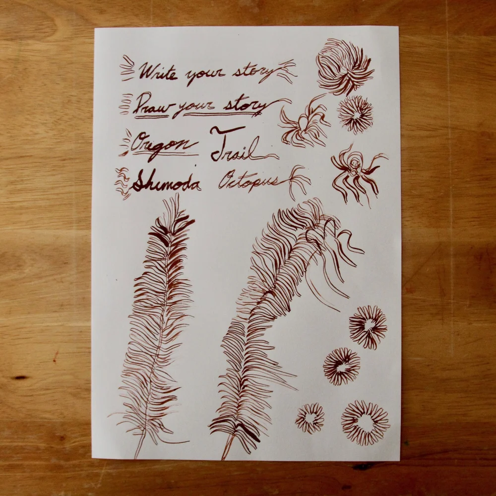 How to Make a DIY Feather Quill Pen — Andrew "Oyl" Miller