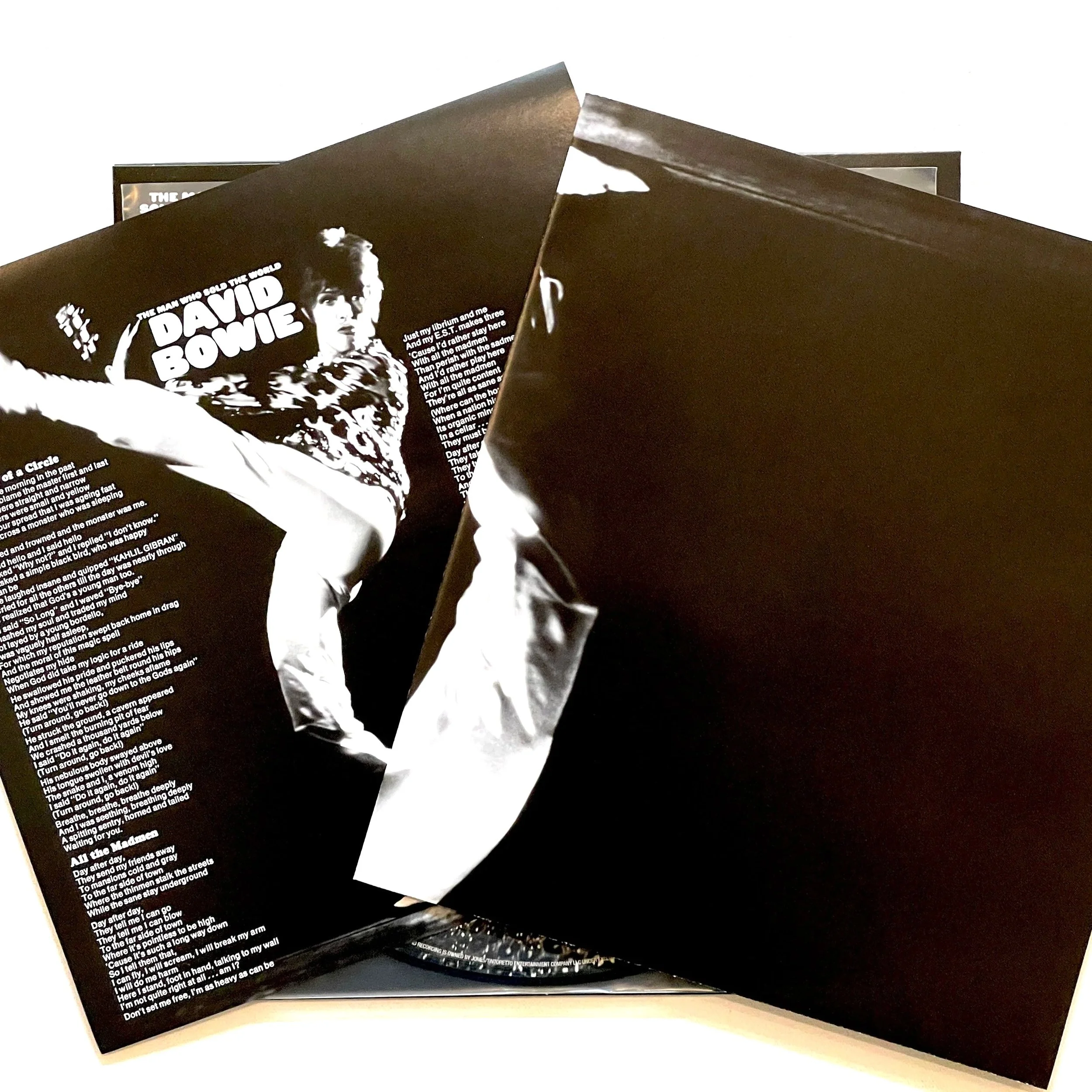 DAVID BOWIE ~ The Man Who Sold The World (Picture Disc) — Taste Merchants