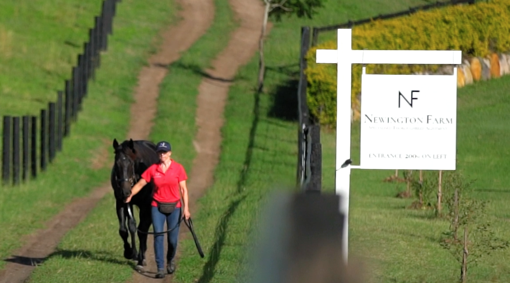About Us — Newington Farm