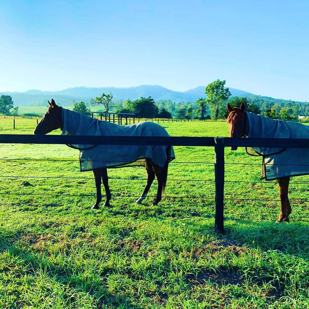 The Property — Newington Farm
