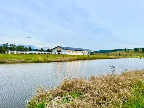 The Property — Newington Farm