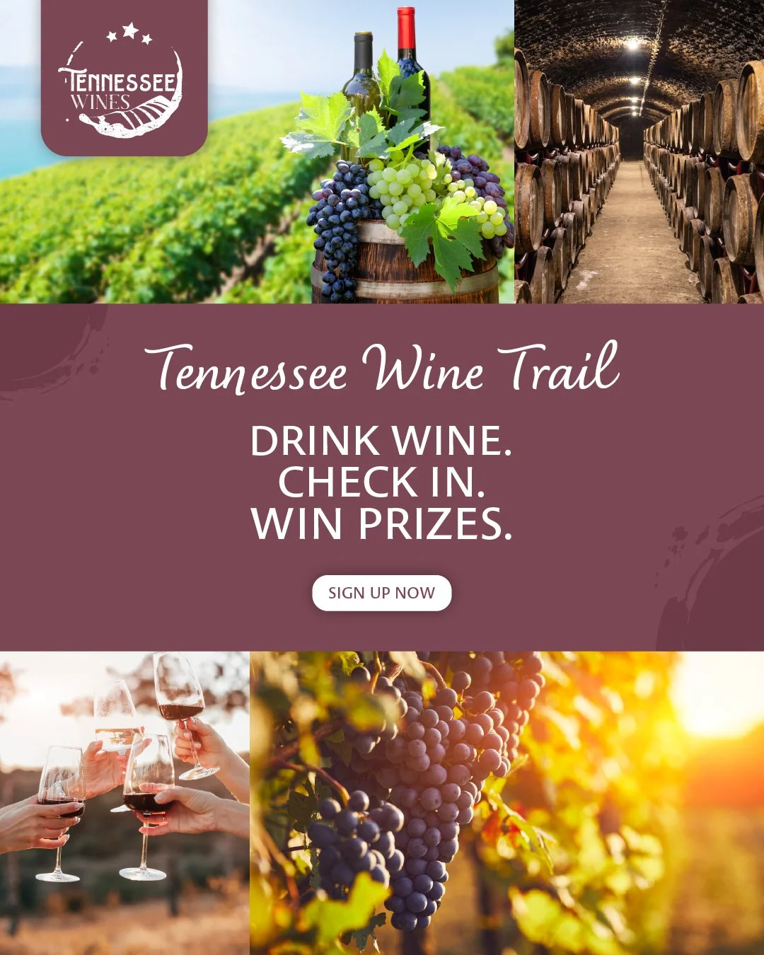 Wine Trails — Cades Cove Cellars