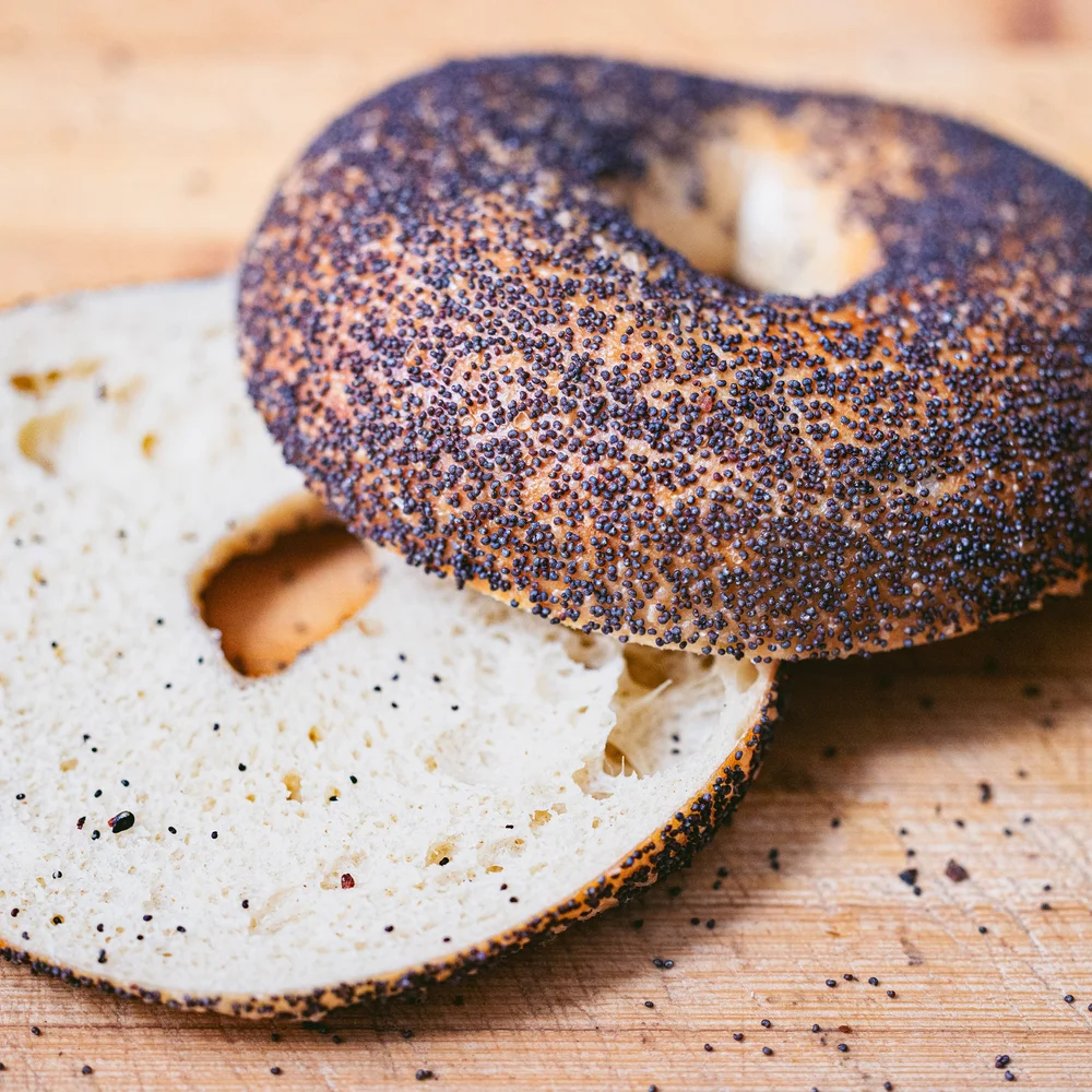 The New Haven Bagel — Olmo