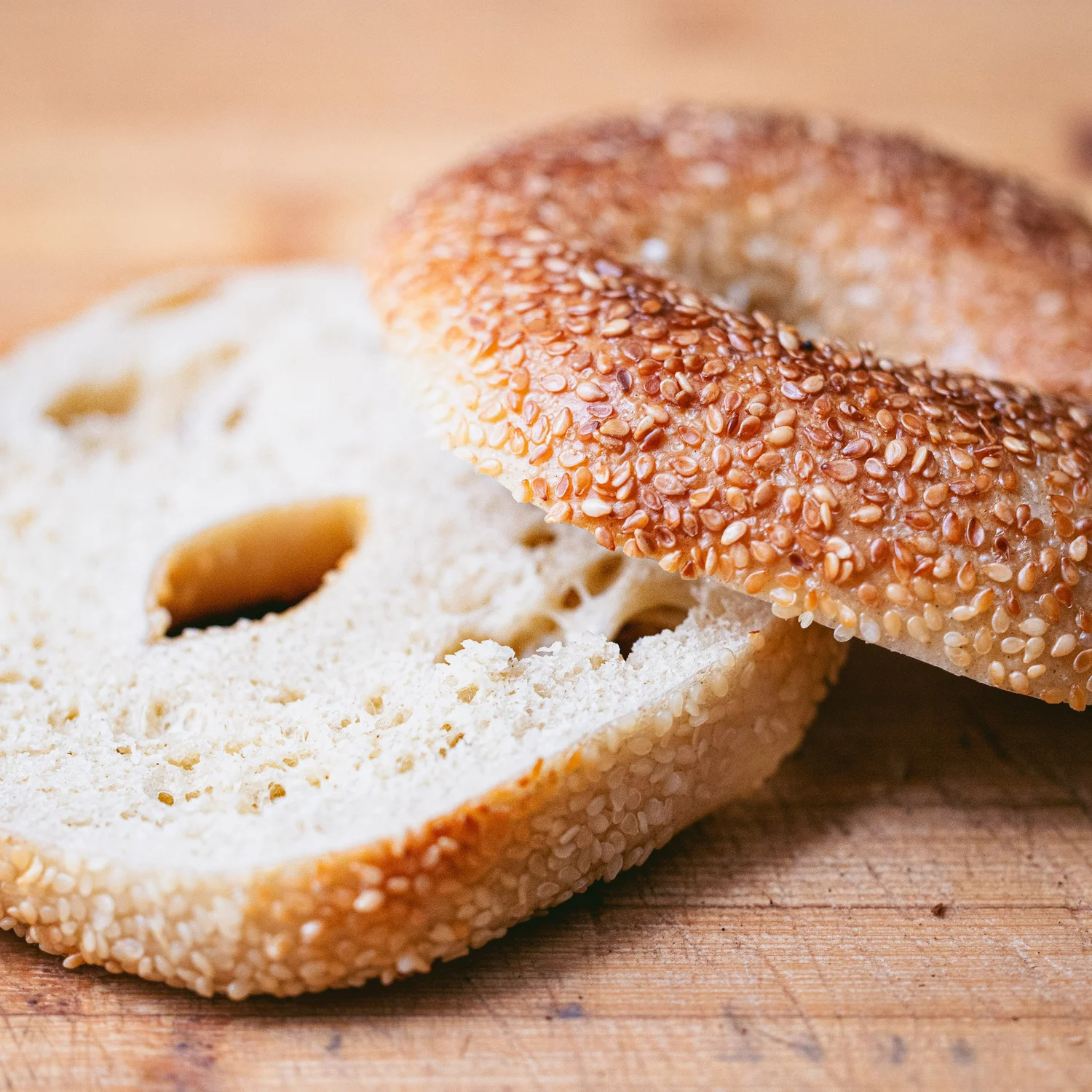 The New Haven Bagel — Olmo