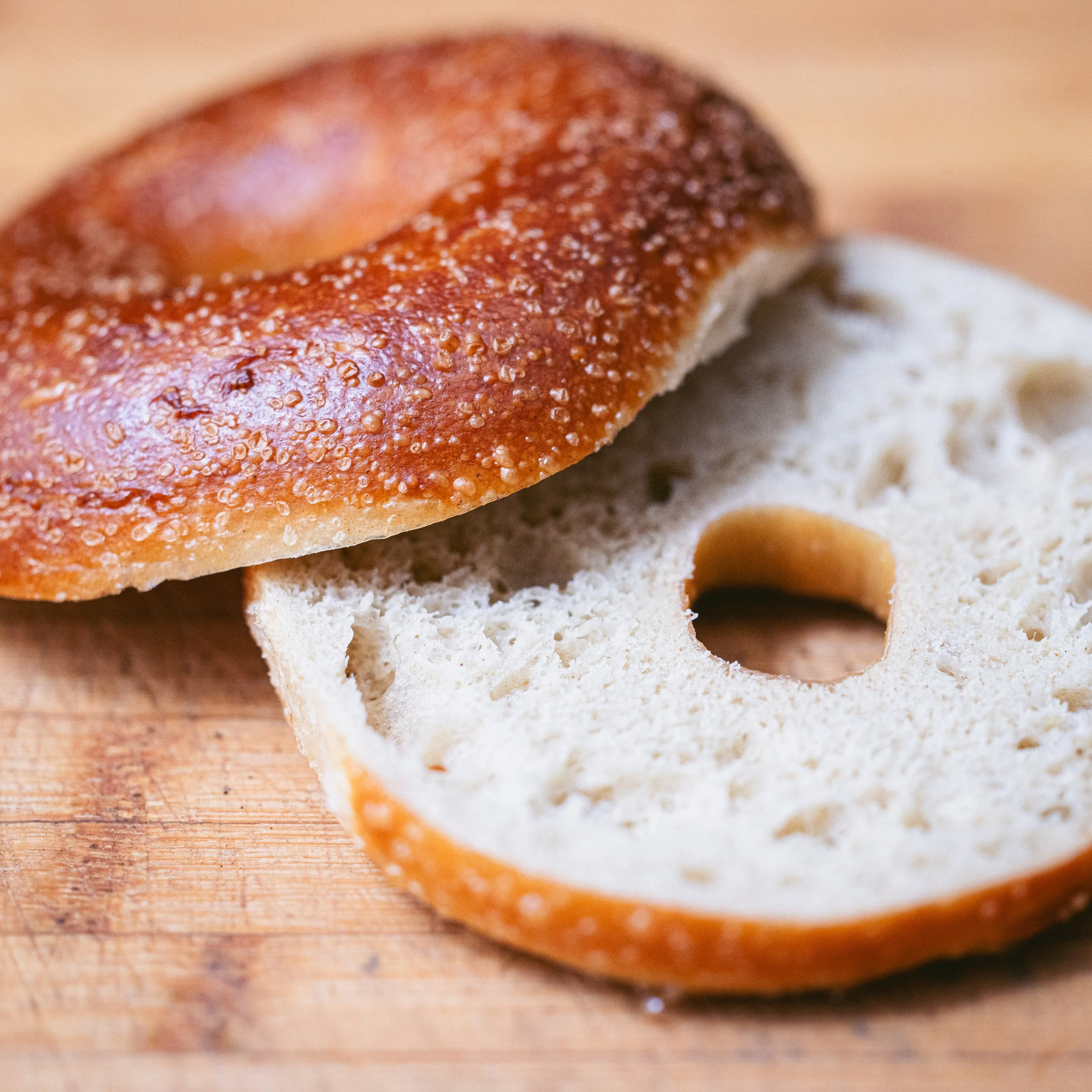 The New Haven Bagel — Olmo