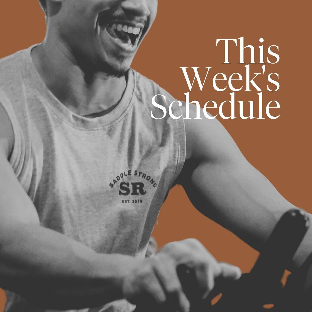 Studios — Saddle Row