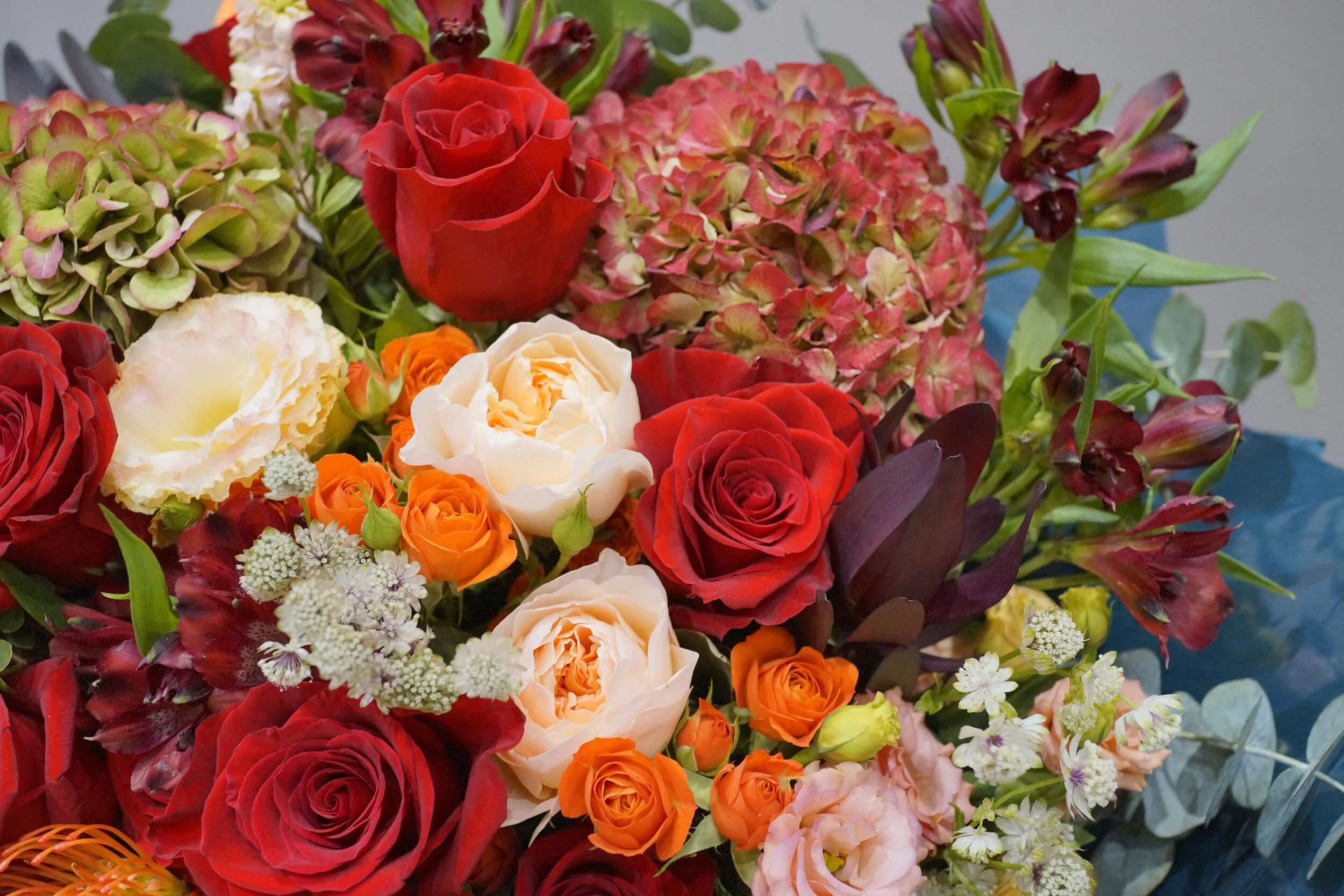 Bloom With Grace Flourish Flowers Bloom With Grace Flourish Flowers