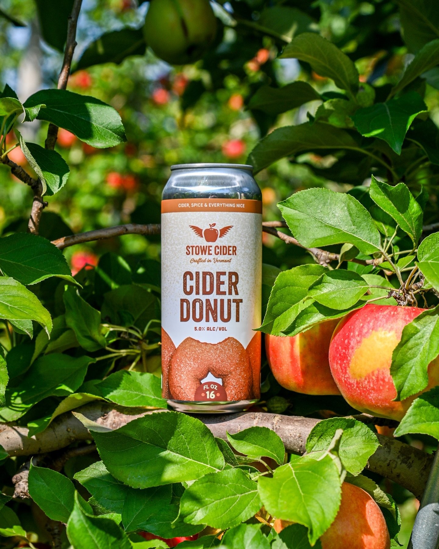 Stowe Cider