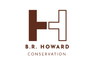The Ultimate Art Conservation Guide — B.R. Howard Art Conservation and ...