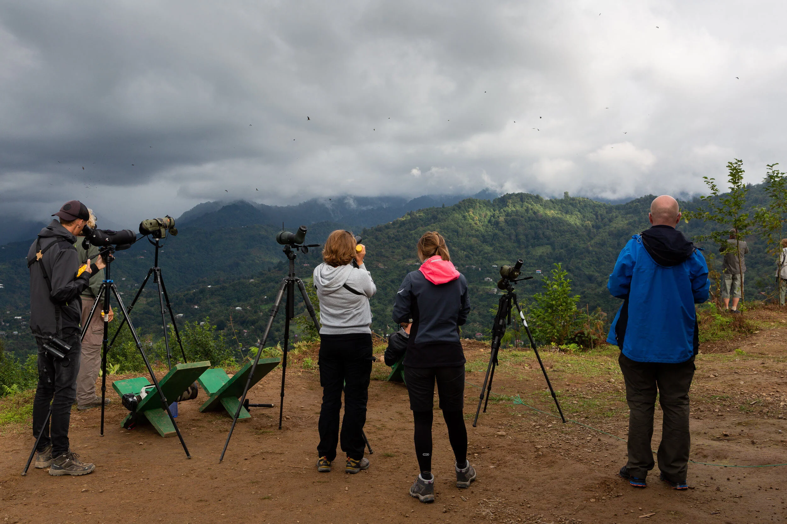 Volunteer as Raptor Migration Counter — Batumi Raptor Count