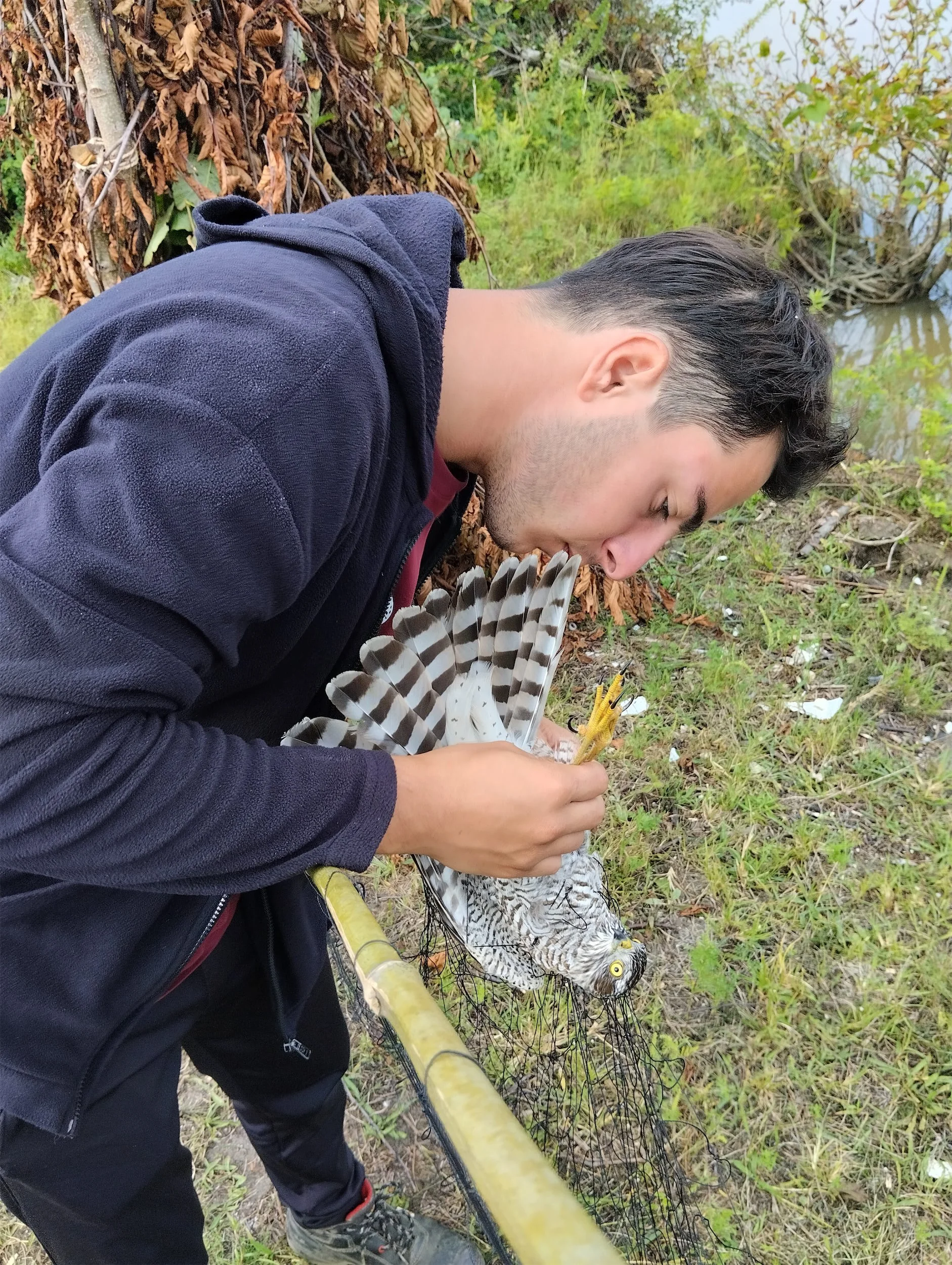 Falconry - Third time's the charm — Batumi Raptor Count