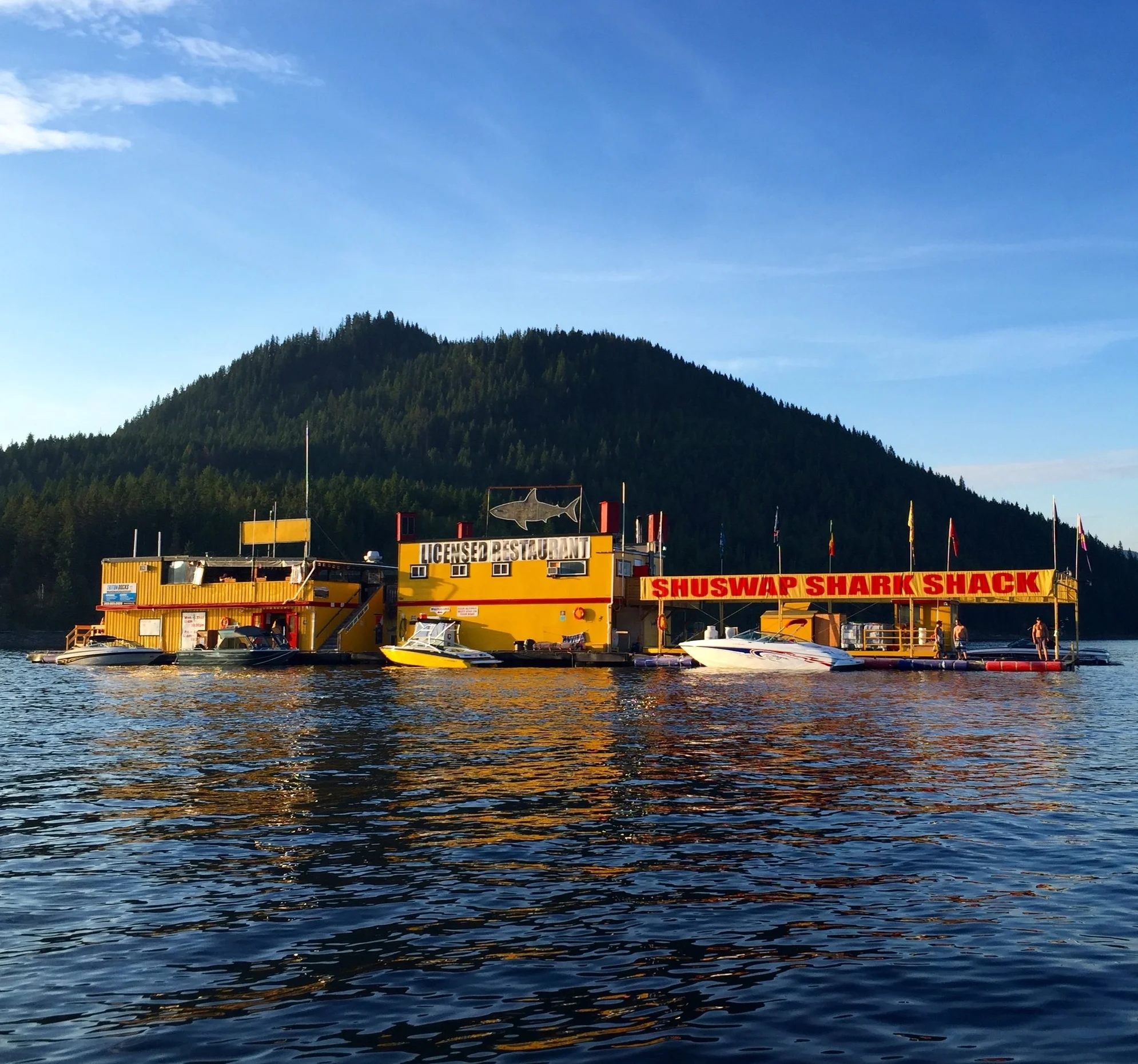 Shuswap Shark Shack | Restaurant + Bar