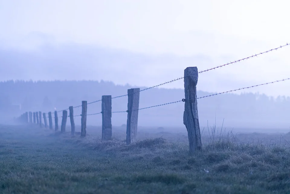The Dividing Line A Deeper Word The Dividing Line A Deeper Word