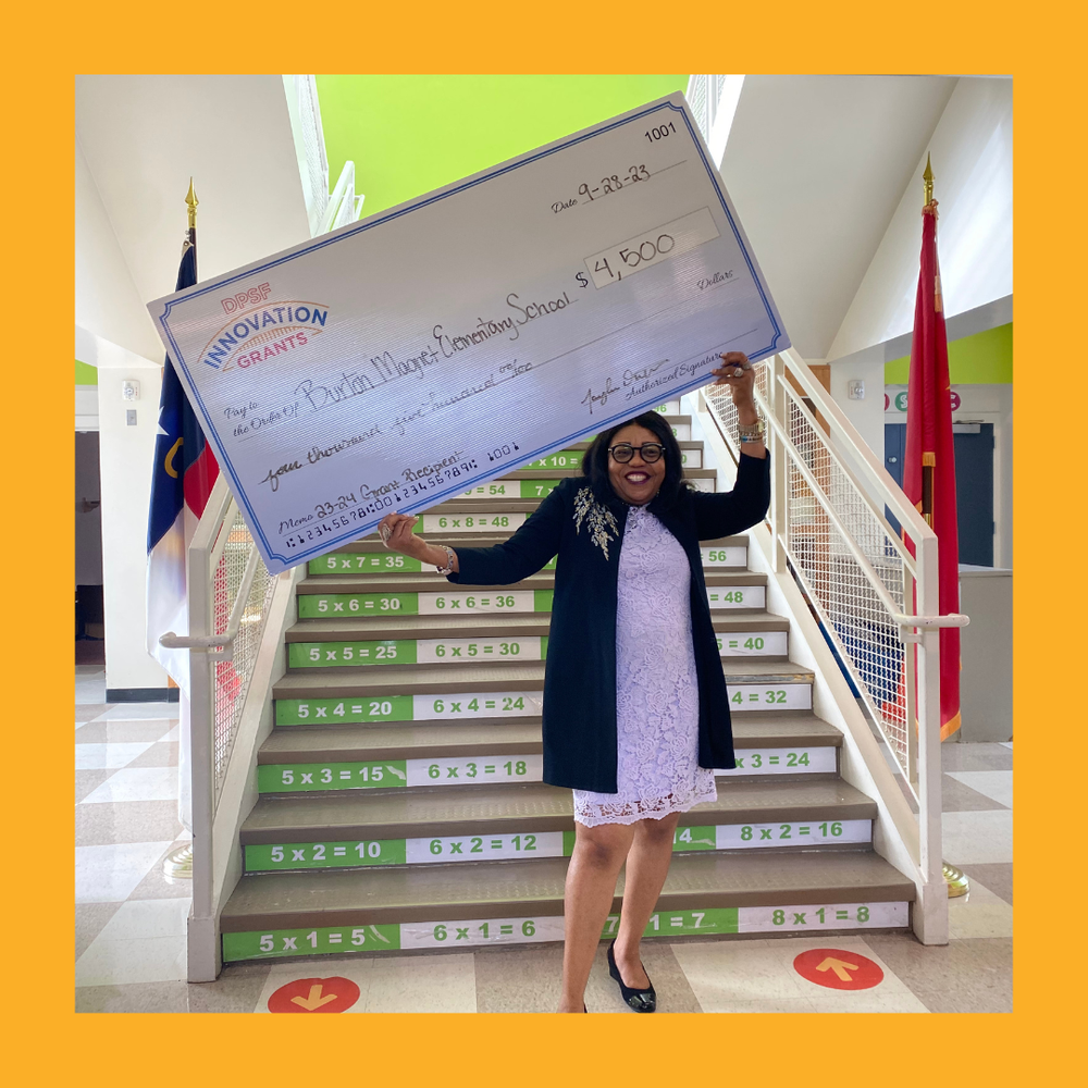 Overview of our work — DPS Foundation