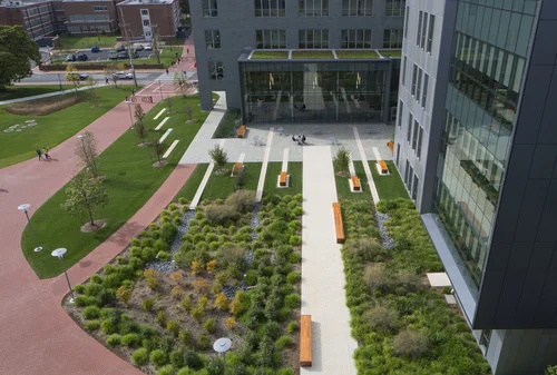 Campus — Jonathan Ceci Landscape Architects