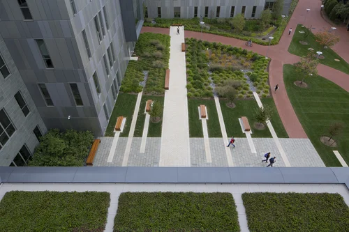 Campus — Jonathan Ceci Landscape Architects